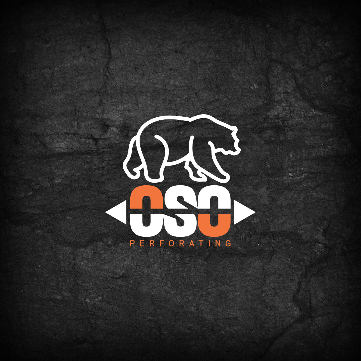 Oso Perforating | Innovative Perforating Technologies